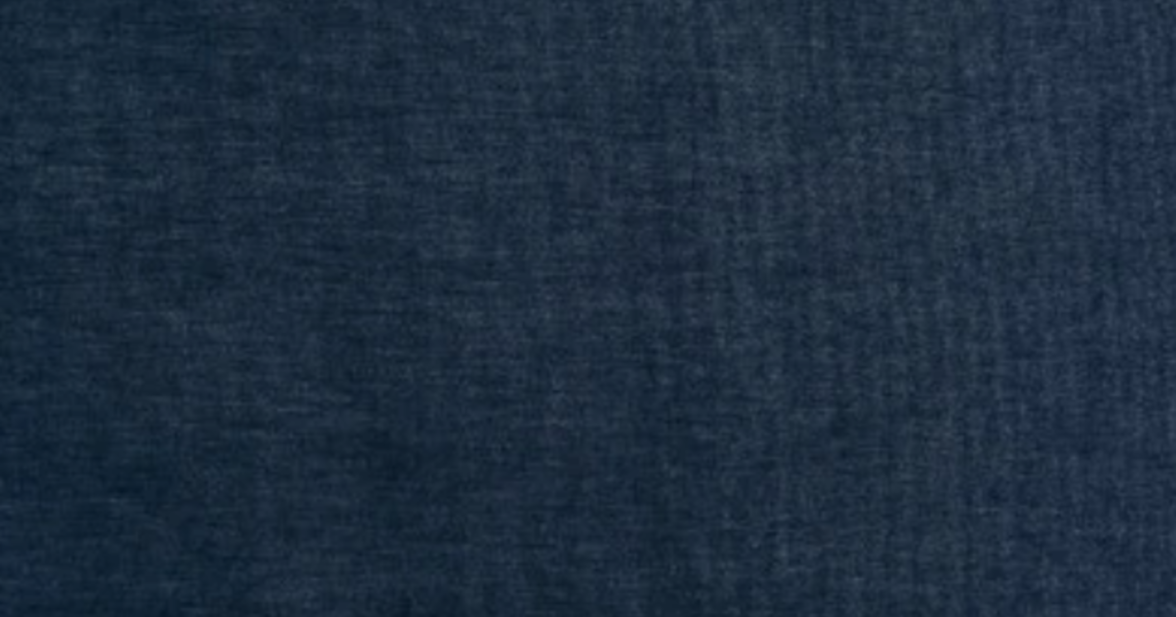 Medici Fabric Colors A Heritage of Excellence