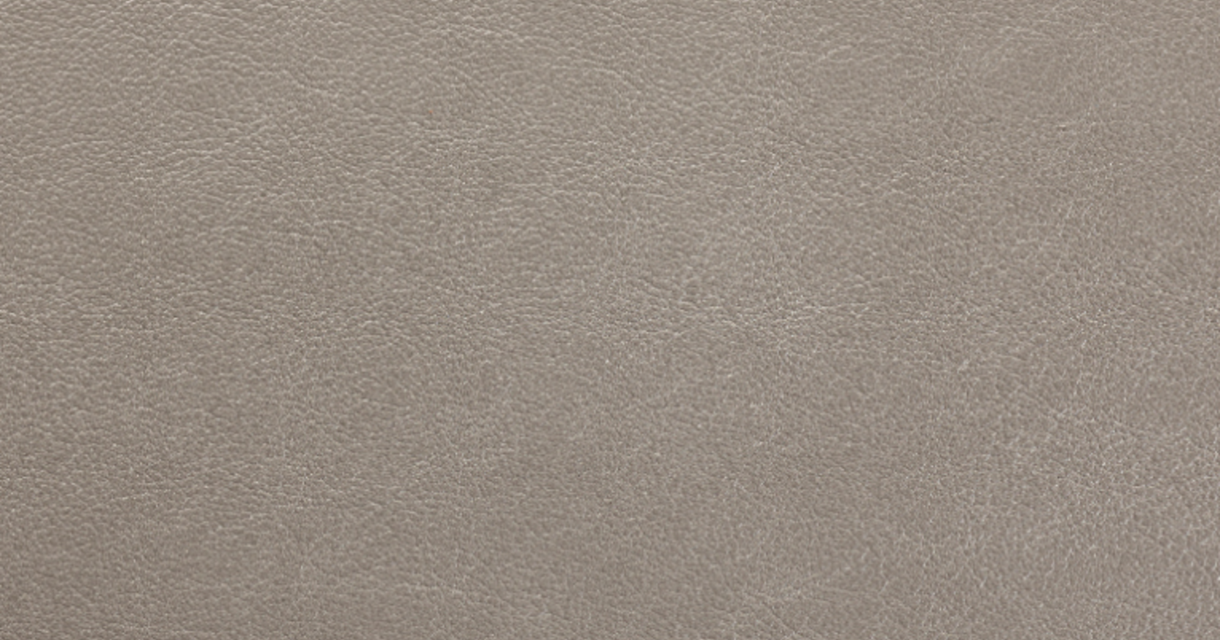 Metallic Leather Colors Your Key to Luxury