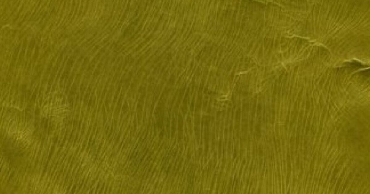 Tudor Leather Colour Options - Stylish and Diverse