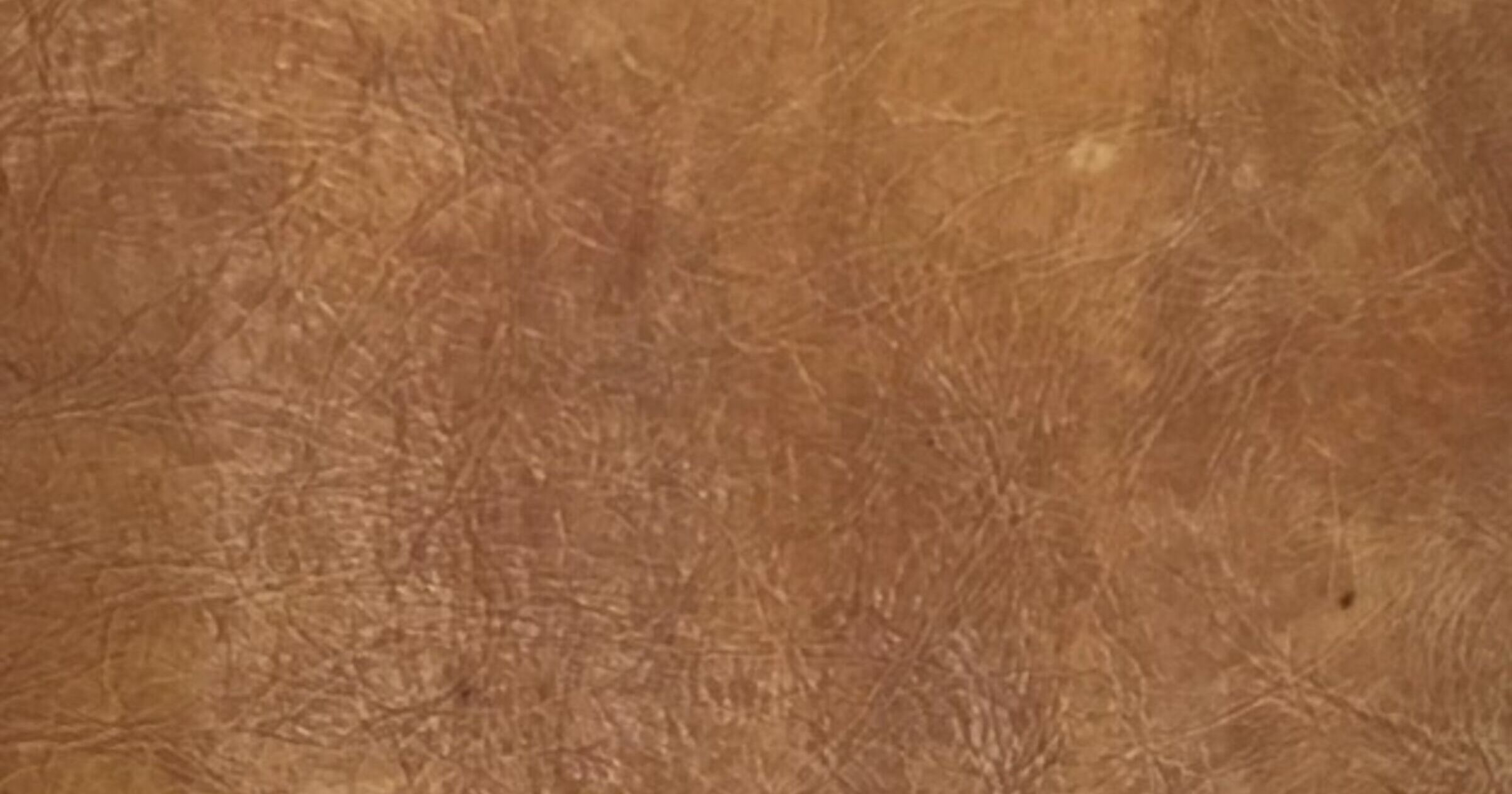 Wash Leather Colors Where Style Meets Classic Appeal